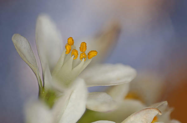 Phillip Pendleton (pendlephilpp) Profile / 500px