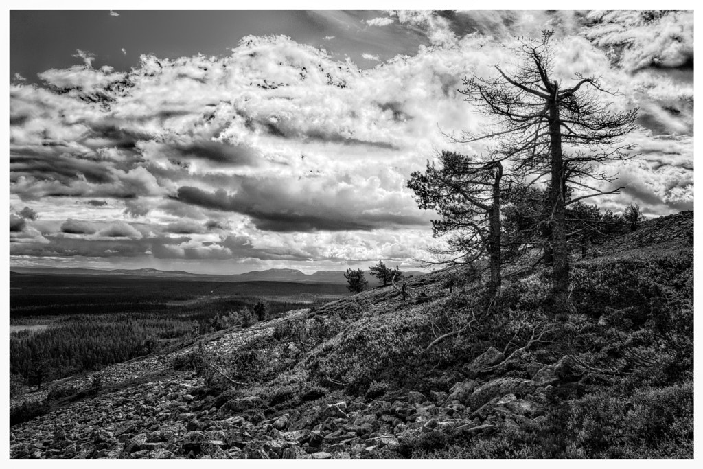 View from the slope of Ukko-Luosto fell II by Perttu Sironen / 500px