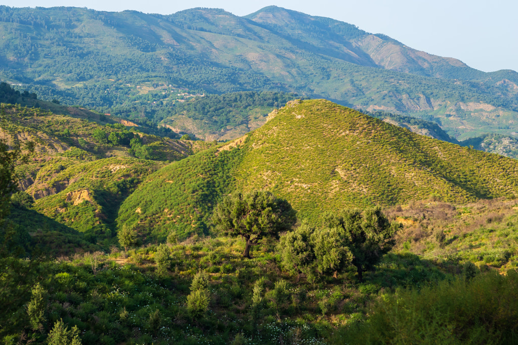 Pure nature by Nadji Boukhabla / 500px