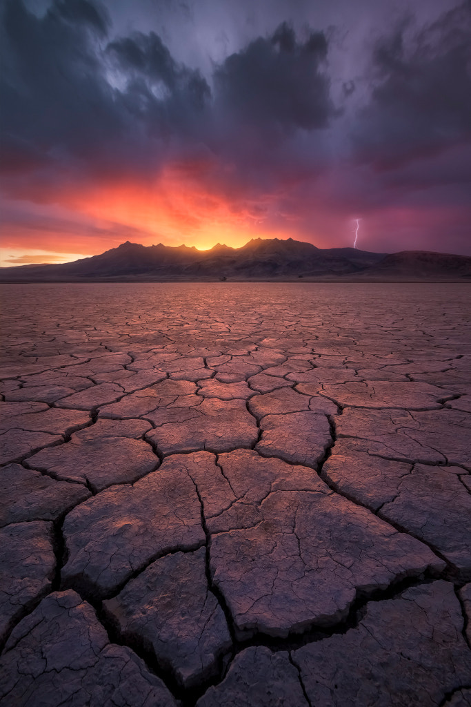 The Way Path by Ryan Dyar / 500px