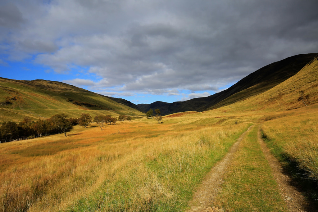 Scenic view of landscape against sky by Hilda Murray / 500px