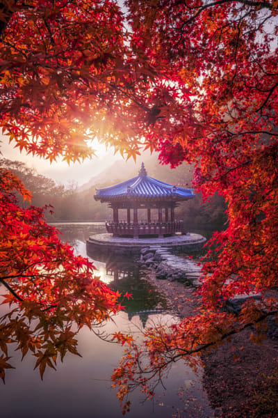 Jaewoon U's Photos & Galleries | 500px
