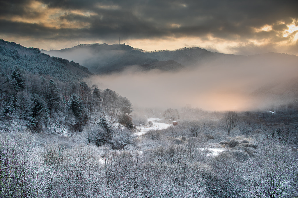 the mist of the valley by RICKY CHOI / 500px