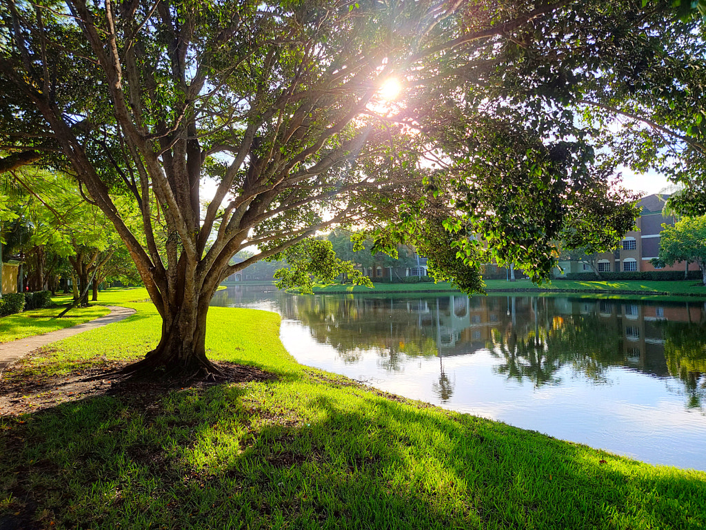 A walk in the morning, after making my cappuccino. by James Janner / 500px