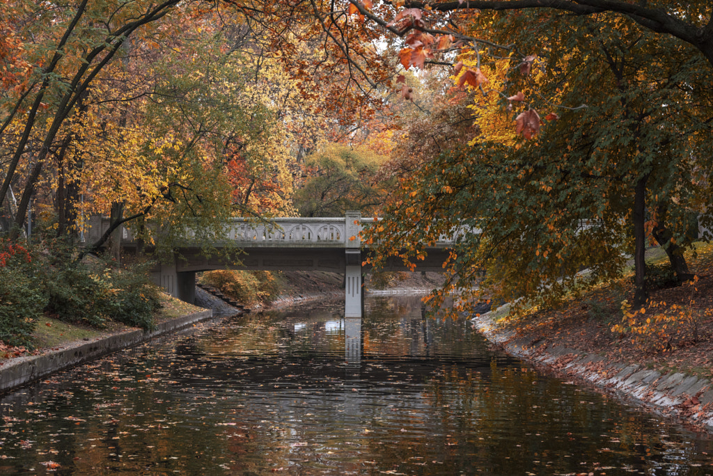 Autumn mood by Katalin Bán / 500px