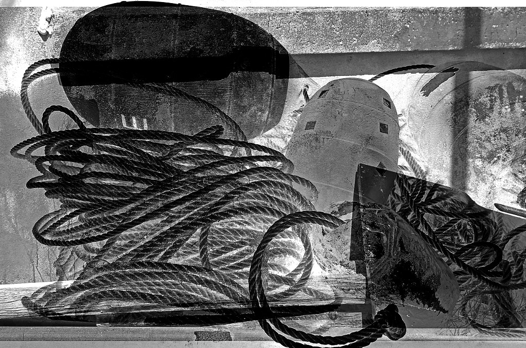 E Floats 2 U by David A . Bush / 500px