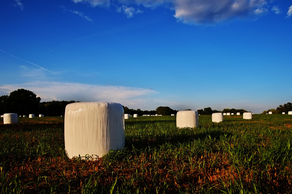 Marshmallows II by Lewis Dosher / 500px