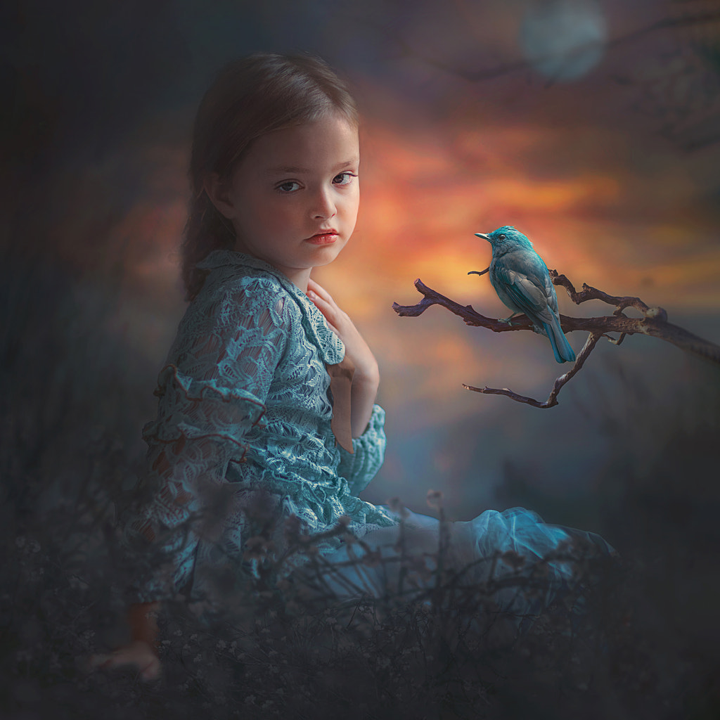 Blue Bird by Jessica Drossin / 500px