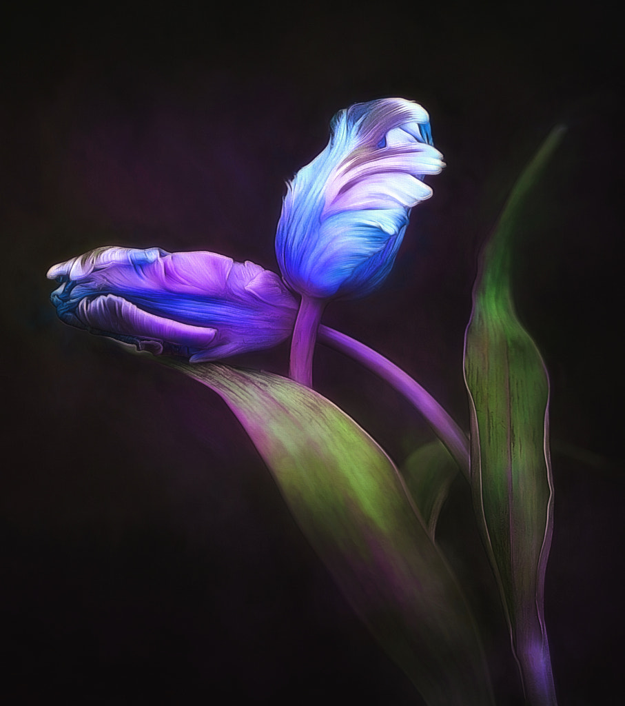 Blue Blue by clint hudson / 500px