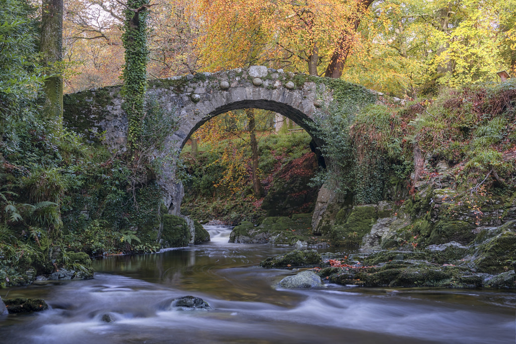 Foley's Bridge by Barrie Lathwell 2 / 500px