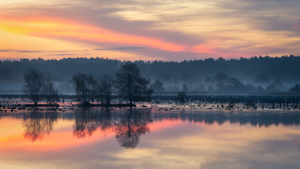 Morgens im Moor by Marlies Schröder / 500px