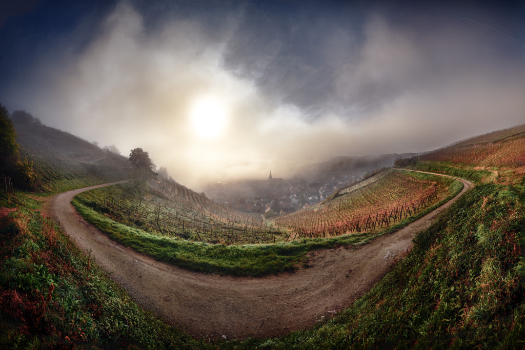 Misty Morning by Robert Didierjean / 500px