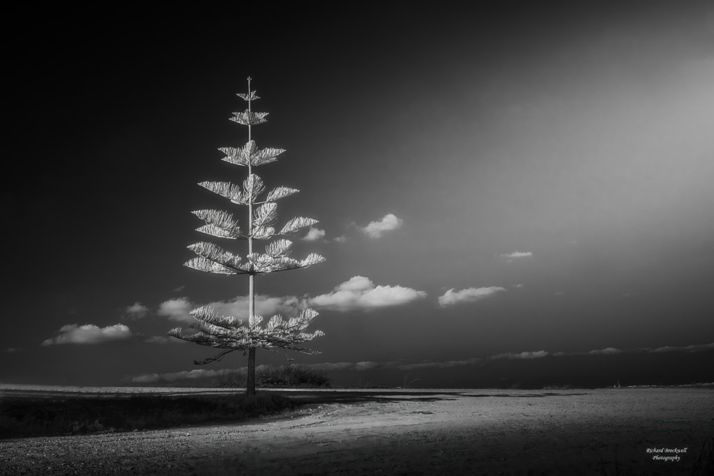 Keep on shining by Richard Brockwell / 500px