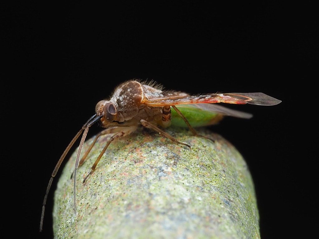 One in the eye! by Tom Musson / 500px