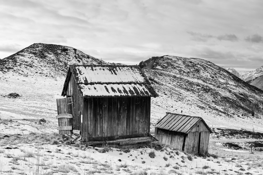 Scenic view of field against sky by Stefano Taffoni / 500px