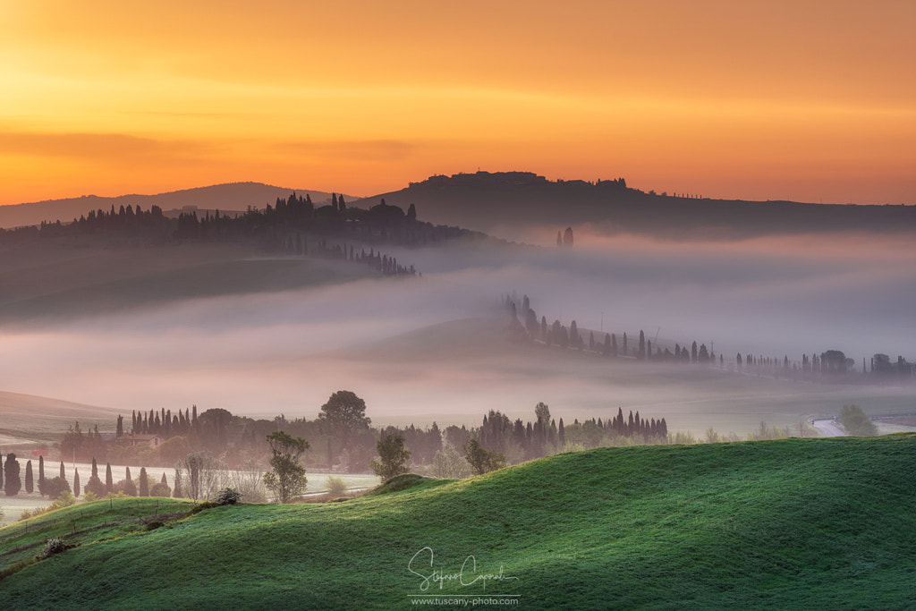 Foggy morning by Stefano Caporali / 500px