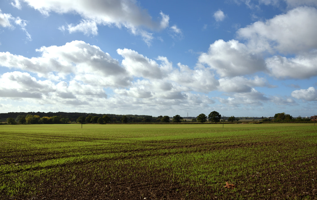 The Domant Fields. by Anthony Green / 500px