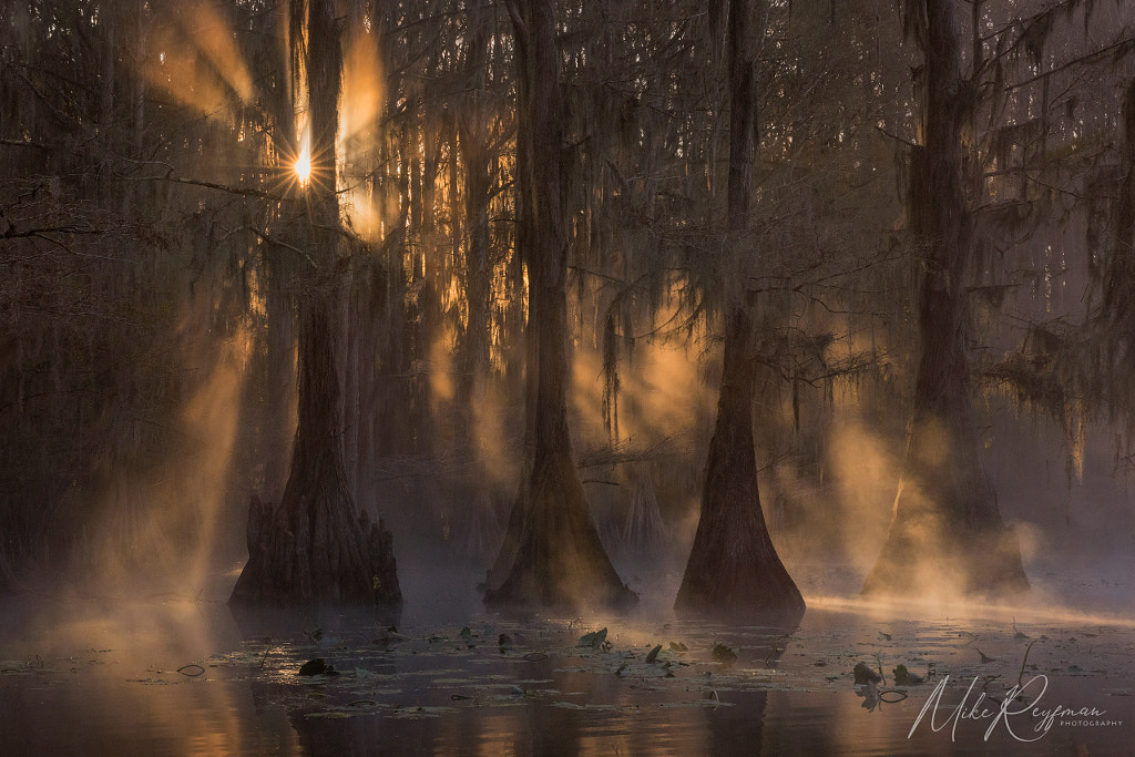 Fog Magic by Mike Reyfman / 500px