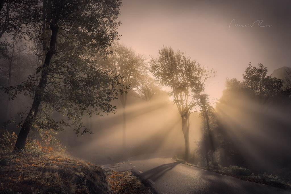 FOG by Narcís Ros / 500px
