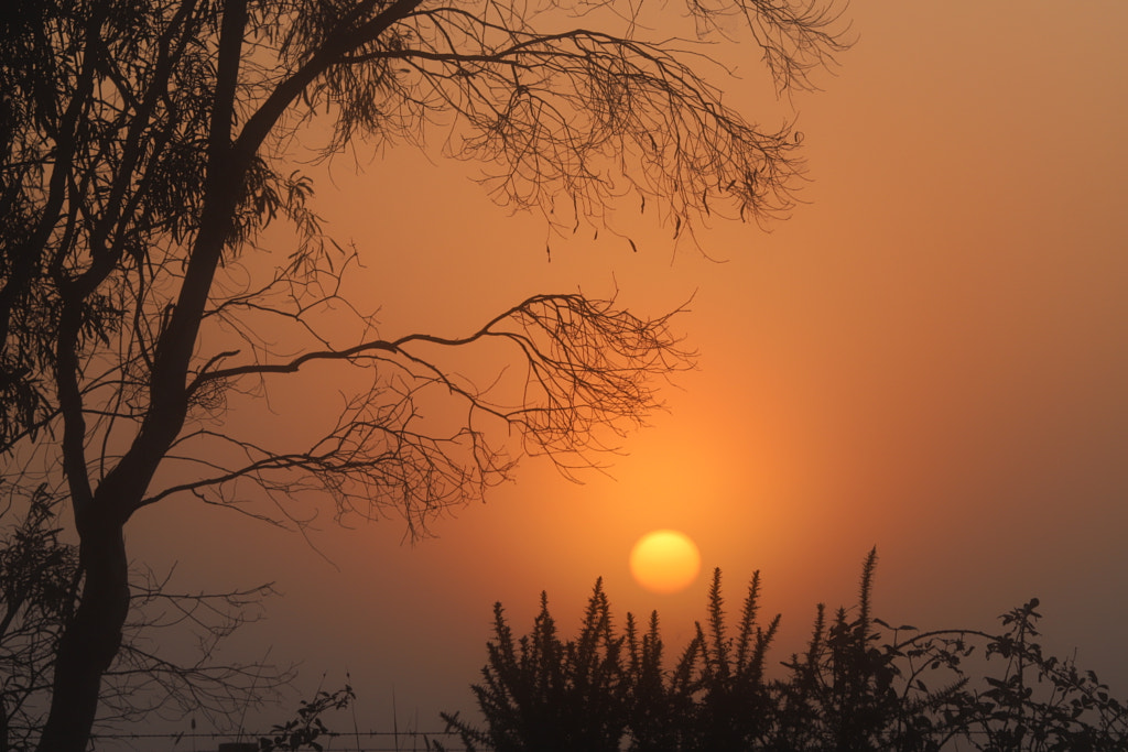 Morning Ambience! by Bruce Prothero / 500px