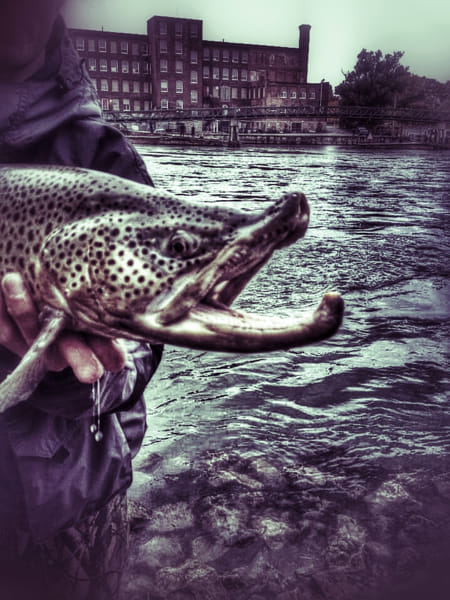 Mr.brown by Ian Mcneil / 500px