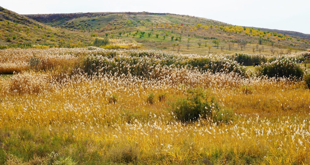 Armenia 2022: An Autumn Fairy Tale! by Brian Scrivner / 500px