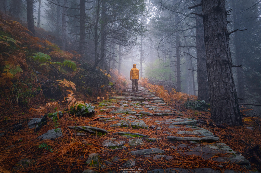 On the Right Path by Thrasivoulos Panou / 500px