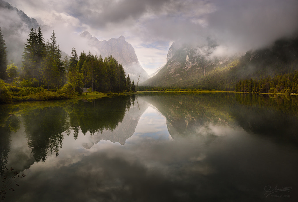 Morning Bow by Maria Draper / 500px