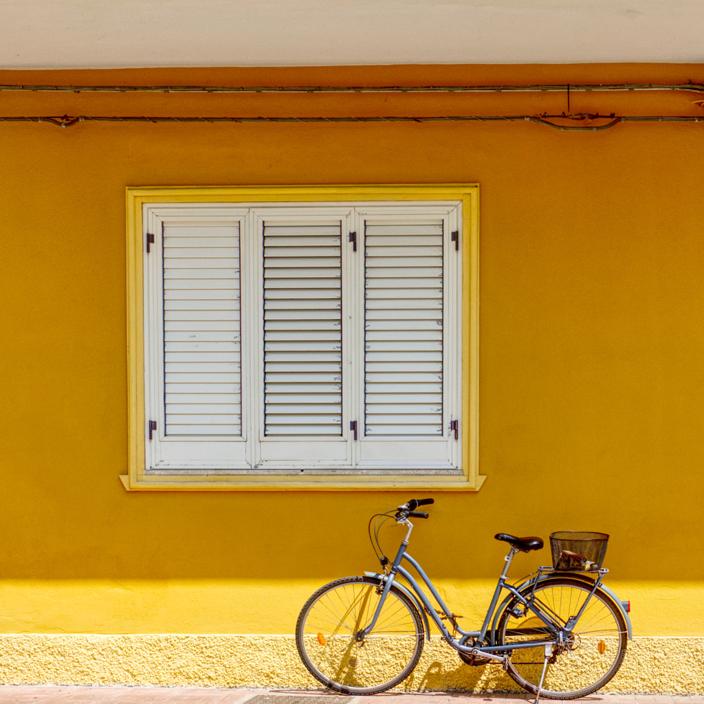 Mellow Yellow by herr_moser / 500px