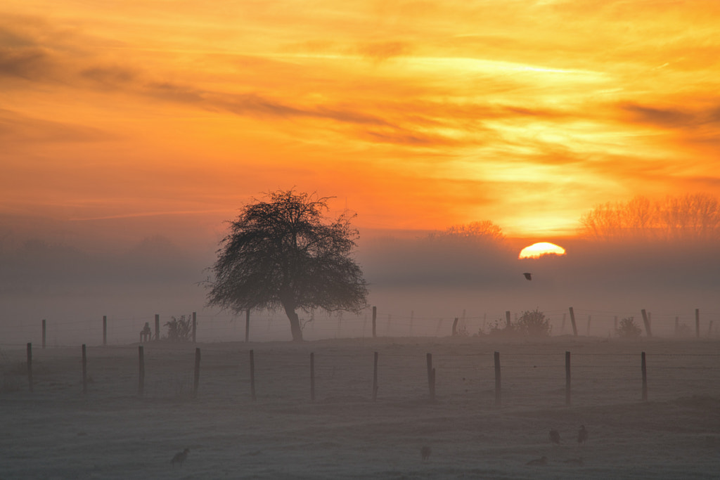 Foggy morning by Michael Sroka / 500px