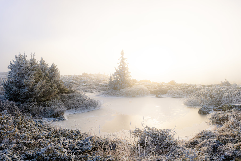 Into the misty soft box by Jørn Allan Pedersen / 500px