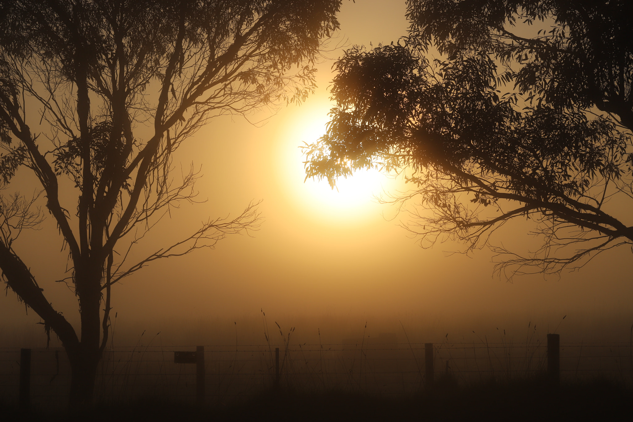 Morning Delight! by Bruce Prothero / 500px