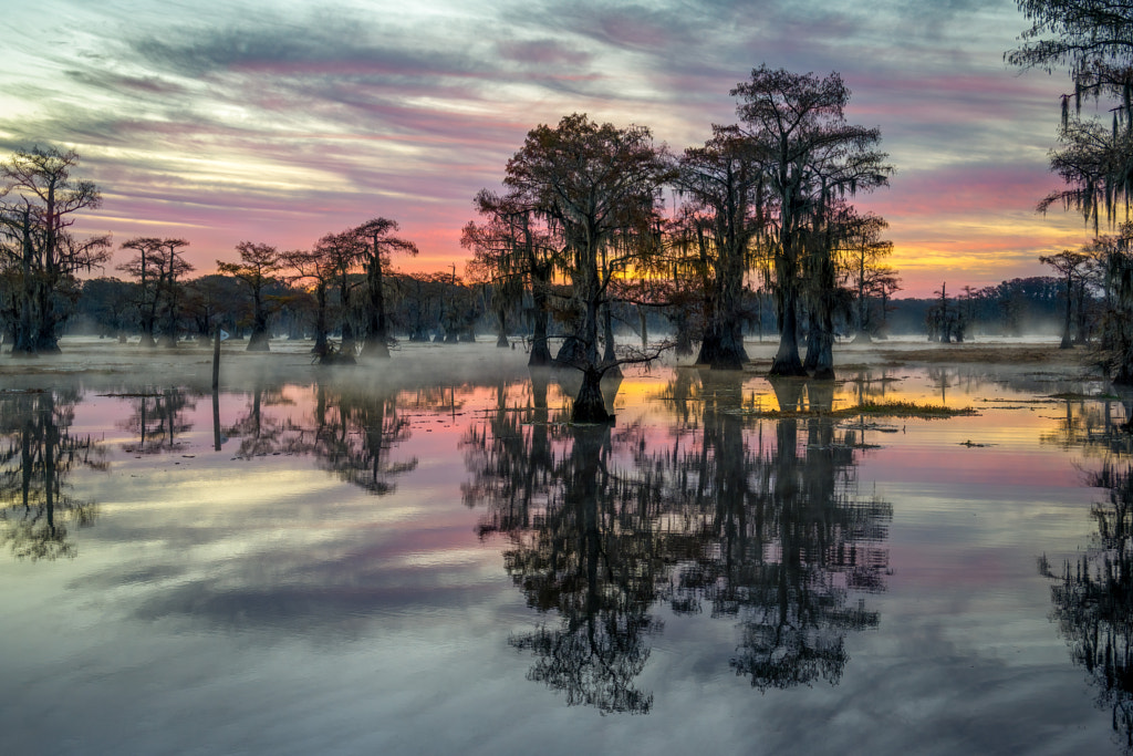 Fall Sunrise In an East Texas Swamp by Dean Fikar / 500px