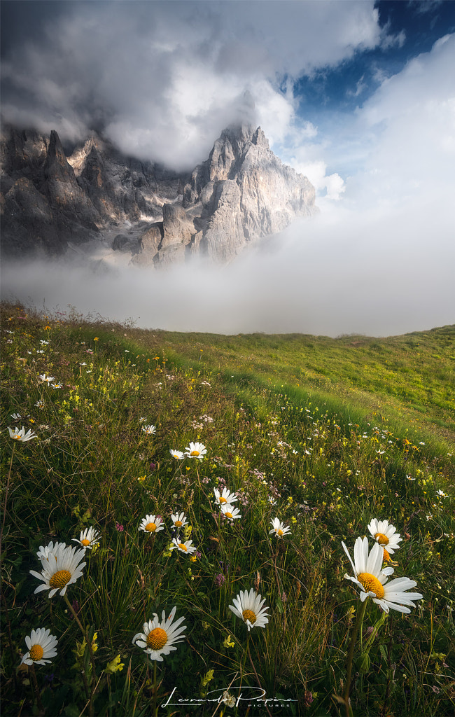 Shine a Light by Leonardo Papèra / 500px