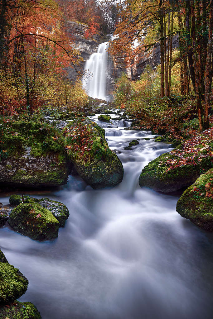 River perspective in undergrowth by Robert Didierjean / 500px