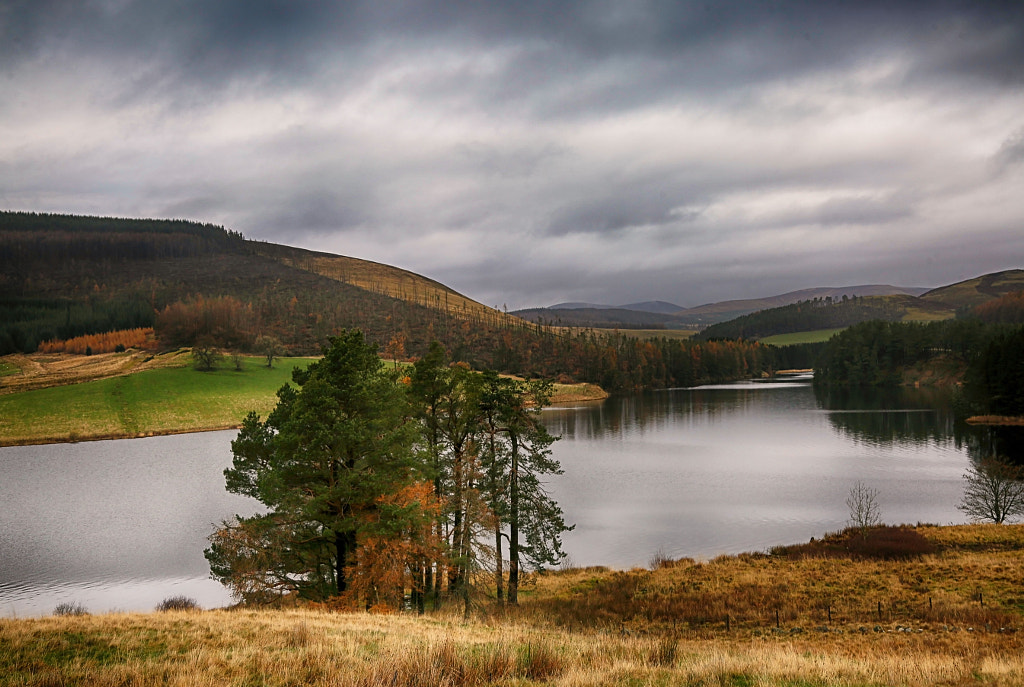 MOODY DAY by Hilda Murray / 500px