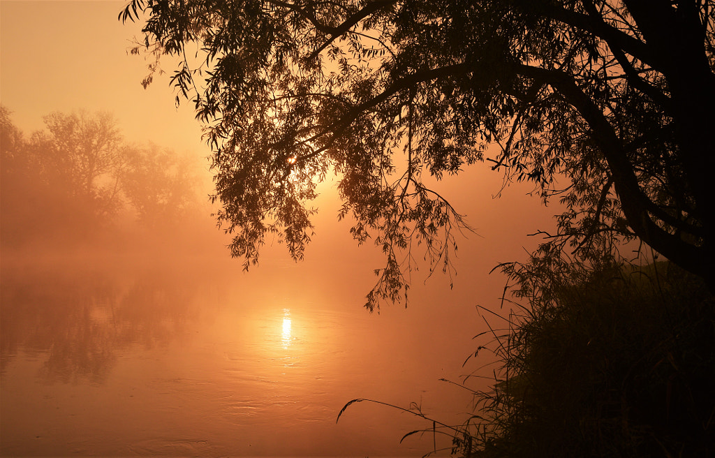 reflection of a dawn by Carlotta Ricci / 500px