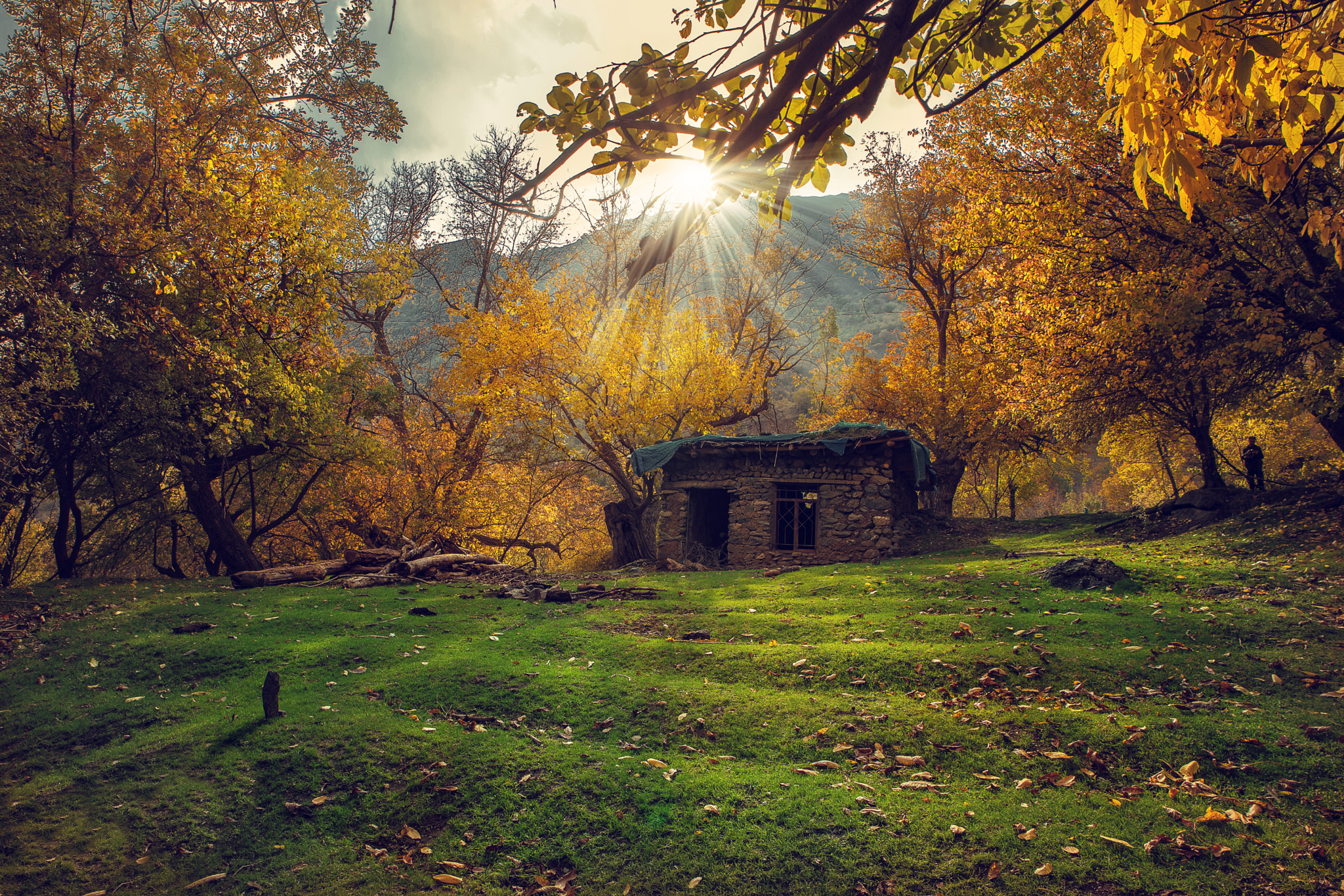 Fall by Samal Tofik / 500px