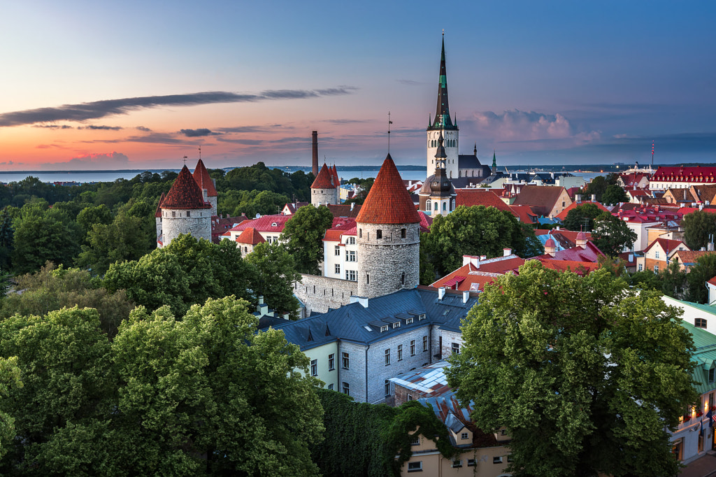 Aerial View of Tallinn Old Town from Toompea Hill in the Evening by ...
