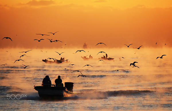 Connect by khoi tran | 500px