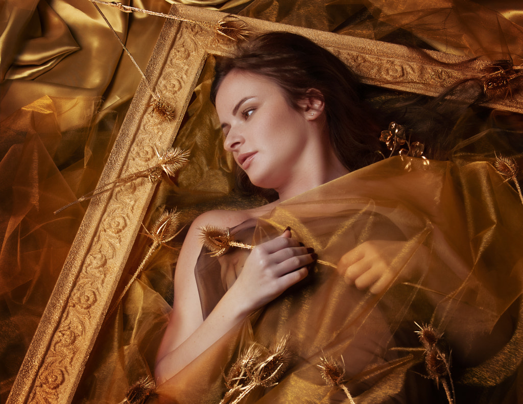 Golden Frame by Intense Photography Vienna / 500px