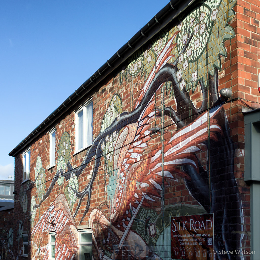 Street Art, Sharrow District, City of Sheffield by Steve Watson / 500px