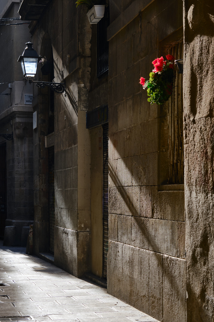 Street by Jacint Guiteras / 500px