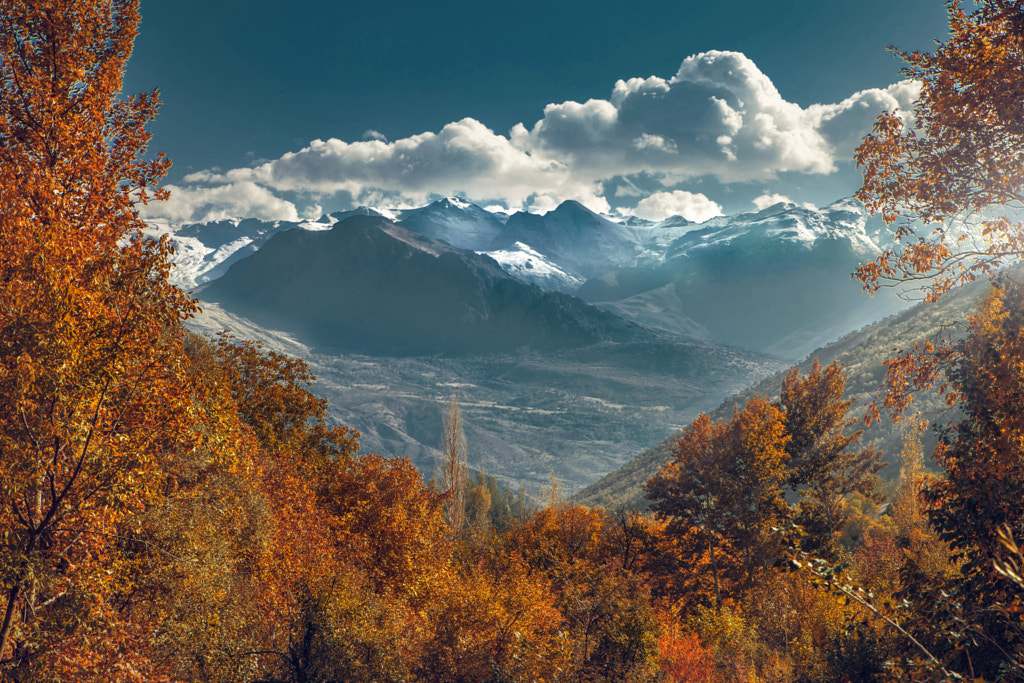 Among Elements by Samal Tofik / 500px
