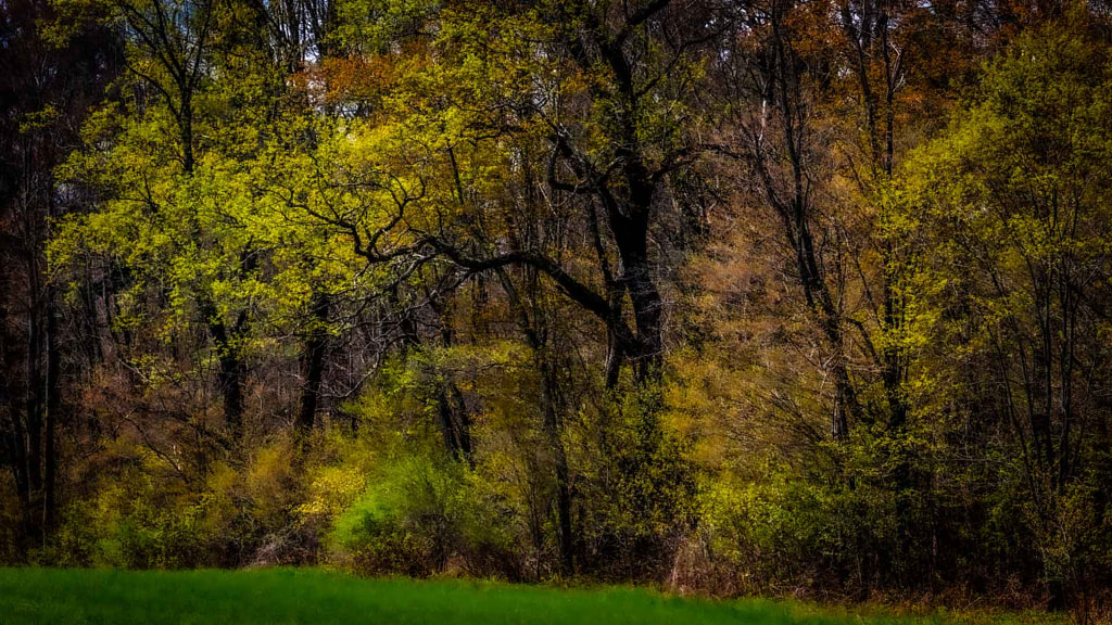 Colors by Gordon Sheret / 500px