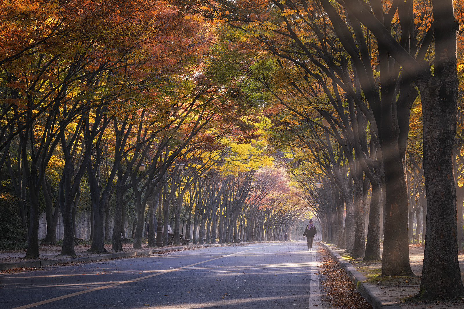 Autumn morning work by Tiger Seo / 500px