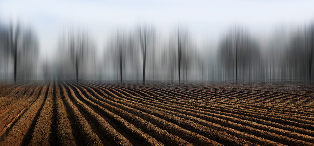 Scenic view of agricultural field against sky by Sergio Sartirana / 500px