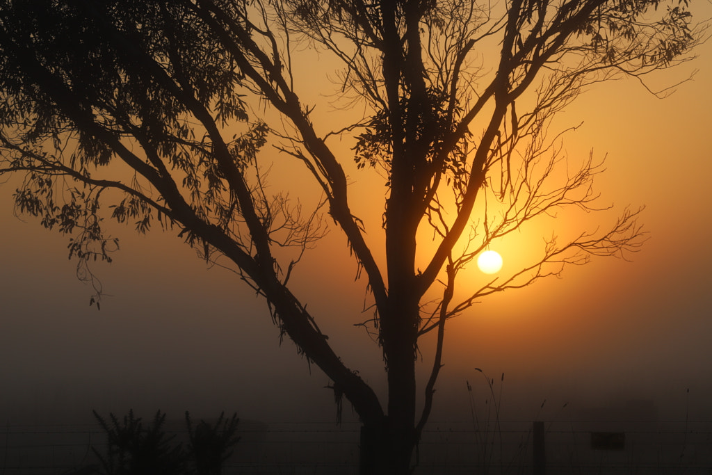 Morning Serenity! by Bruce Prothero / 500px