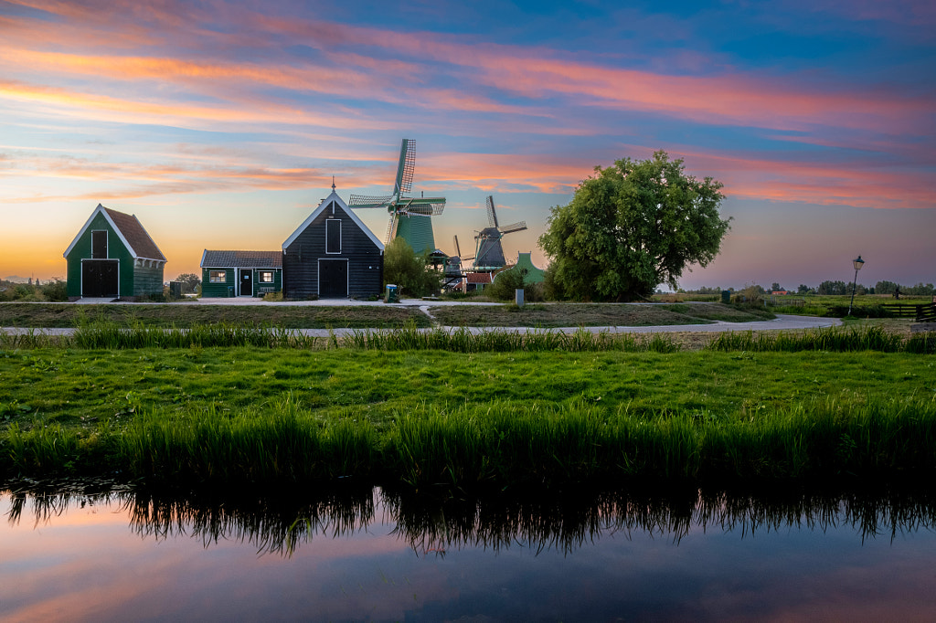 Vision by Peter Dekker / 500px