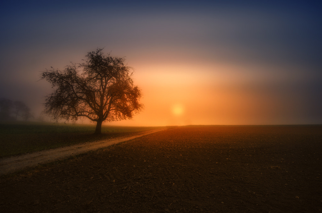Sunwalker by Ralf Thomas / 500px
